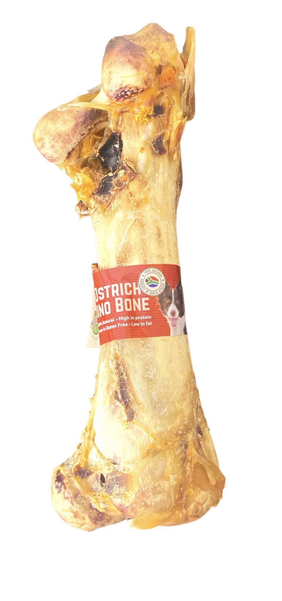 Ostrich Dino Bone – Bark n Bite
